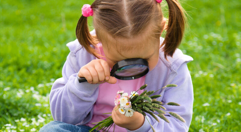 Dala Jobb – lediga jobb i Dalarna